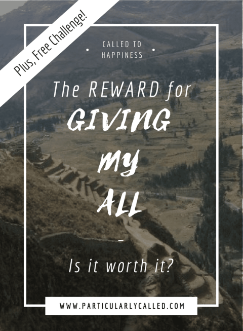 The Reward for Giving Your All - Is it worth it? - ParticularlyCALLED