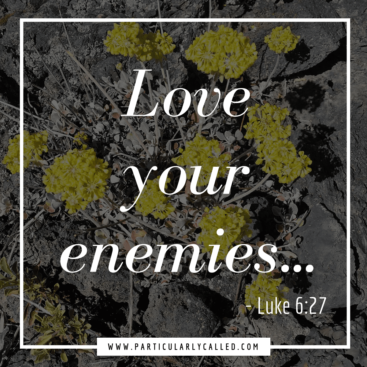 Do you Know How to Love your Enemies? - ParticularlyCALLED