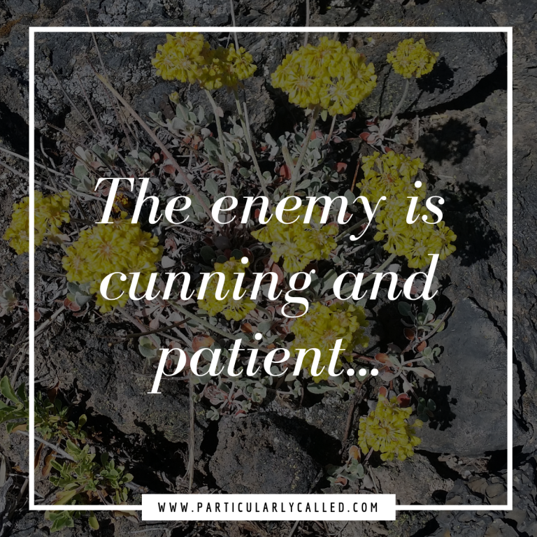 Do you Know How to Love your Enemies? - ParticularlyCALLED