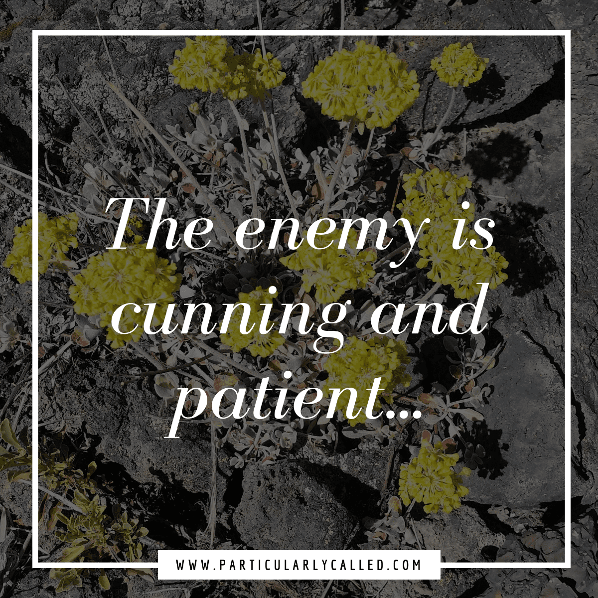 Do you Know How to Love your Enemies? - ParticularlyCALLED