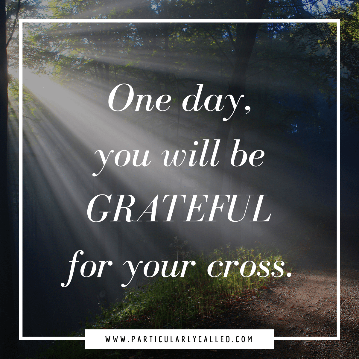 How to Rejoice in Difficulty - Embracing the Cross - ParticularlyCALLED