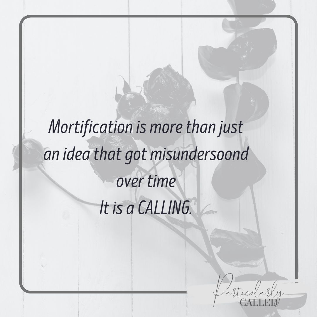 What is Mortification? – Archaic Masochism or Indispensable Spiritual ...