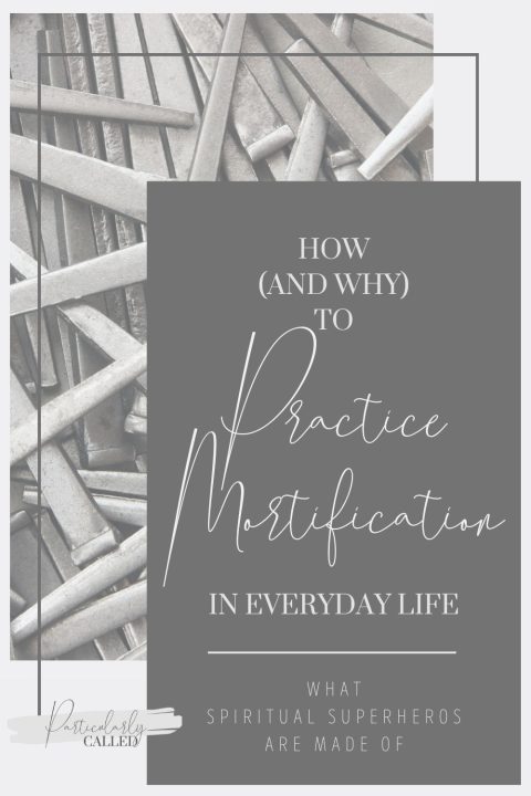How to Practice Mortification in Everyday Life - ParticularlyCALLED